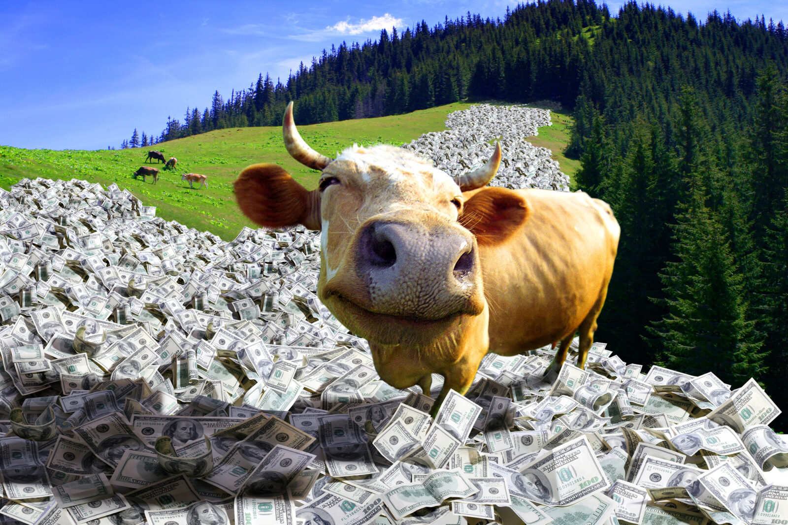 The Inflation Strategy That Works 100% of the Time - Equedia Investment ...